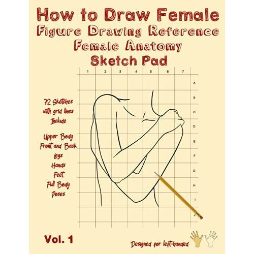 How to Draw Female - Figure Drawing Reference Female Anatomy - Sketch ...
