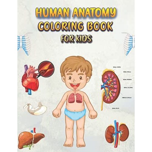 Human Anatomy Coloring Book For Kids: Human Coloring Book | Human Body ...
