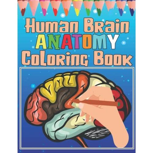 Human Brain Anatomy Coloring Book: This unique human brain coloring ...