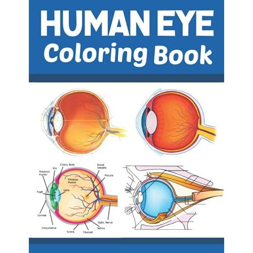 Human Eye Coloring Book: Human Eye Coloring Book for Kids & Adults ...