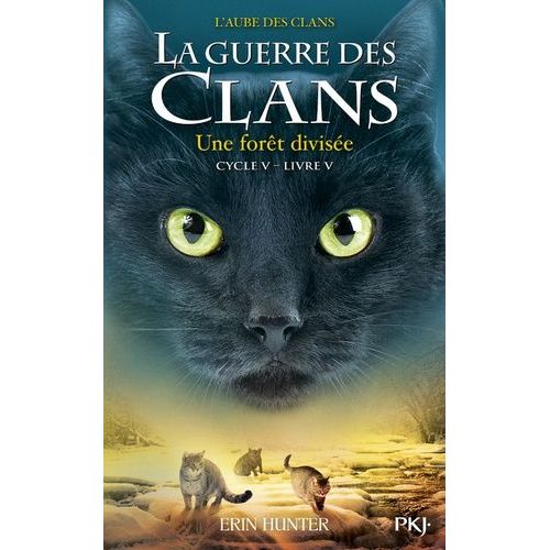 La Guerre Des Clans : L'aube Des Clans (Cycle V) Tome 5 - La Forêt Divisée | Rakuten