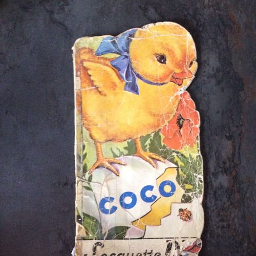 Coco - Enfant, jeunesse | Rakuten