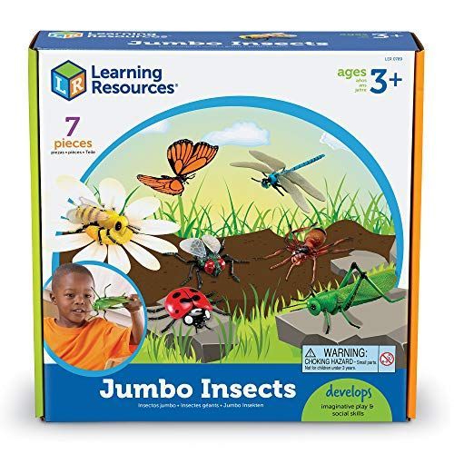 Learning Resources Jumbo Insects I Fly, Ant, Bee, Ladybug, Grasshopper ...