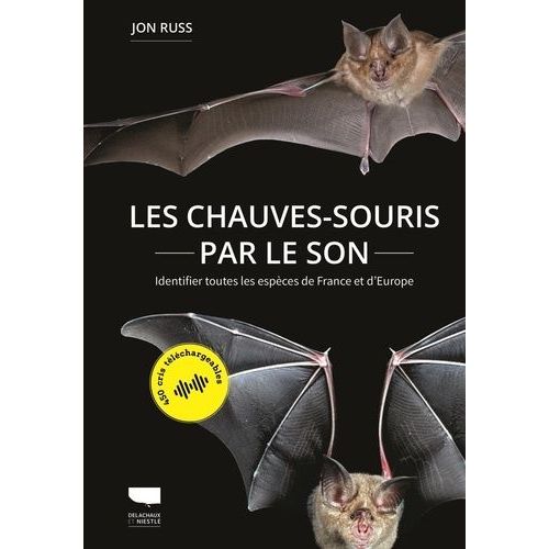 Les Chauves-Souris Par Le Son - Identifier Toutes Les Espèces De France ...