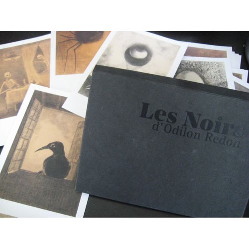LES NOIRS D'ODILON REDON - Art et culture | Rakuten