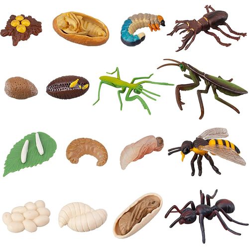 Lot de 16 figurines d'insectes Cycle de vie du coléoptère, de l'abeille ...