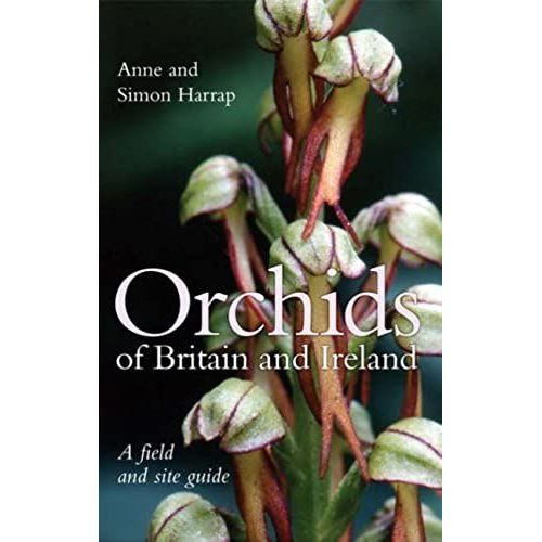 Orchids Of Britain And Ireland: A Field And Site Guide | Rakuten