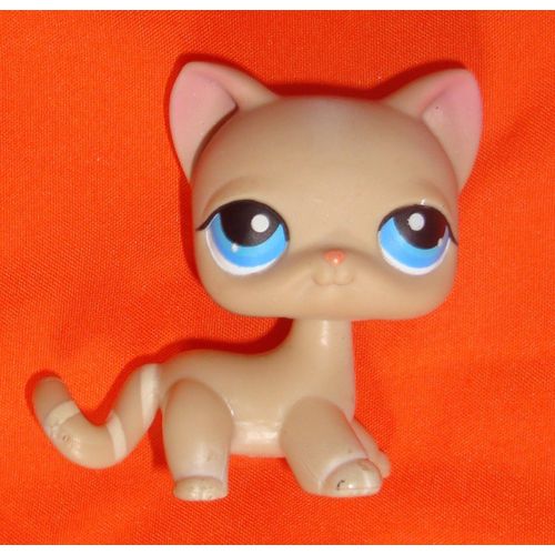 Petshop Chat Européen LPS N° 228 Hasbro | Rakuten