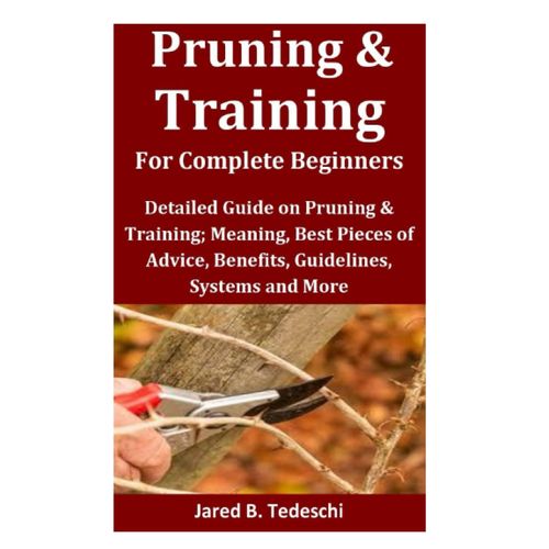 Pruning & Training For Complete Beginners: Detailed Guide On Pruning ...
