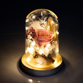 Rose Eternelle sous Cloche, Naturelle Fleur Eternelle avec Lumière LED ...