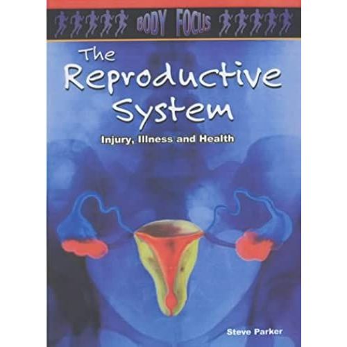 The Reproductive System (body Focus) | Rakuten