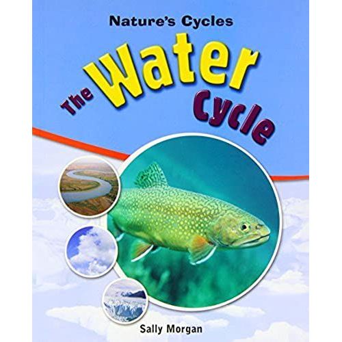 The Water Cycle (nature's Cycles) | Rakuten
