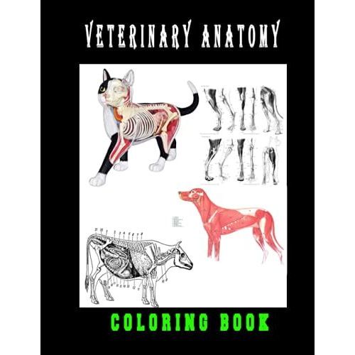 Veterinary Anatomy Coloring Book: Veterinary Physiology And Animal ...